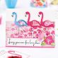 Colourful Flamingo Greetings - Free Card Making Downloads | Projects ...