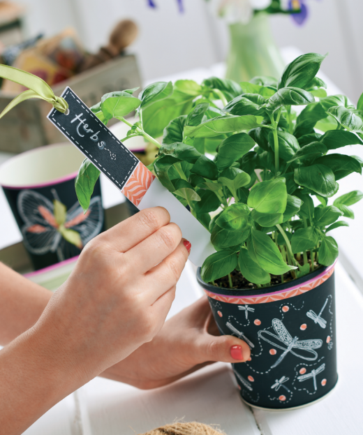 Chalkboard Plant Pots - Free Craft Project – More Crafts - Crafts ...